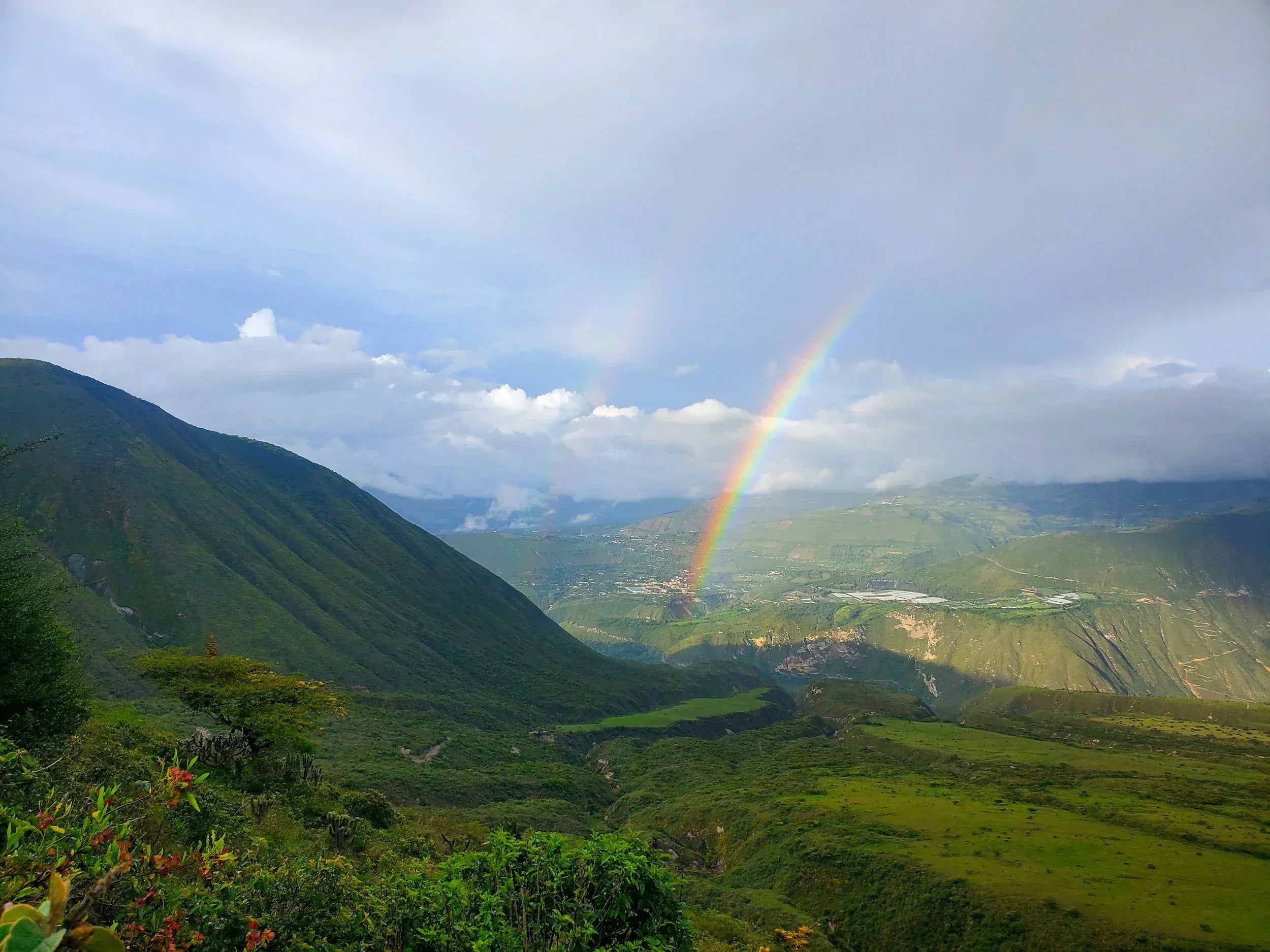 Finca Siempre Verde: café ecuatoriano que nace de la constancia y la e ...